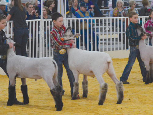 The Dalhart Texan :: Dalhart, TX