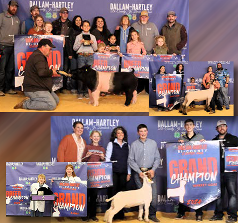 The Dalhart Texan :: Dalhart, TX